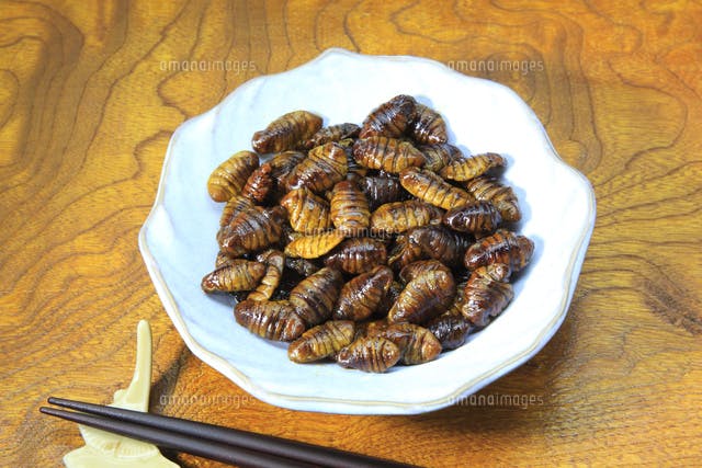 3 Crazy Bugs You Can Eat In Japan Tokyotreat Japanese Candy And Snacks