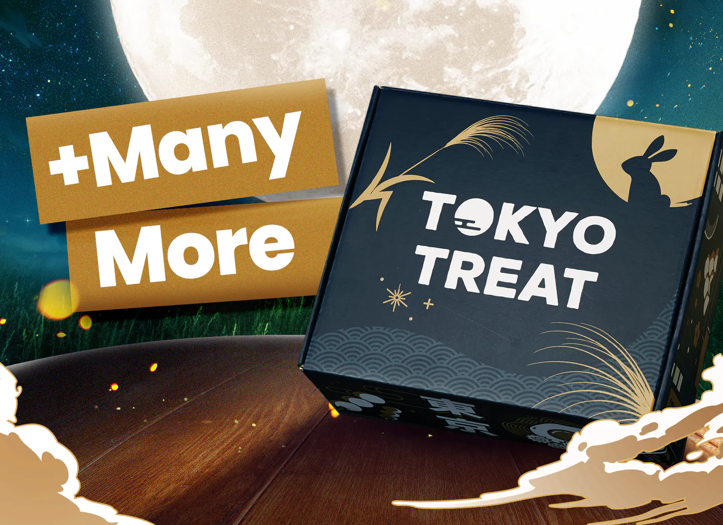 Japanese Snack Box Subscription | TokyoTreat