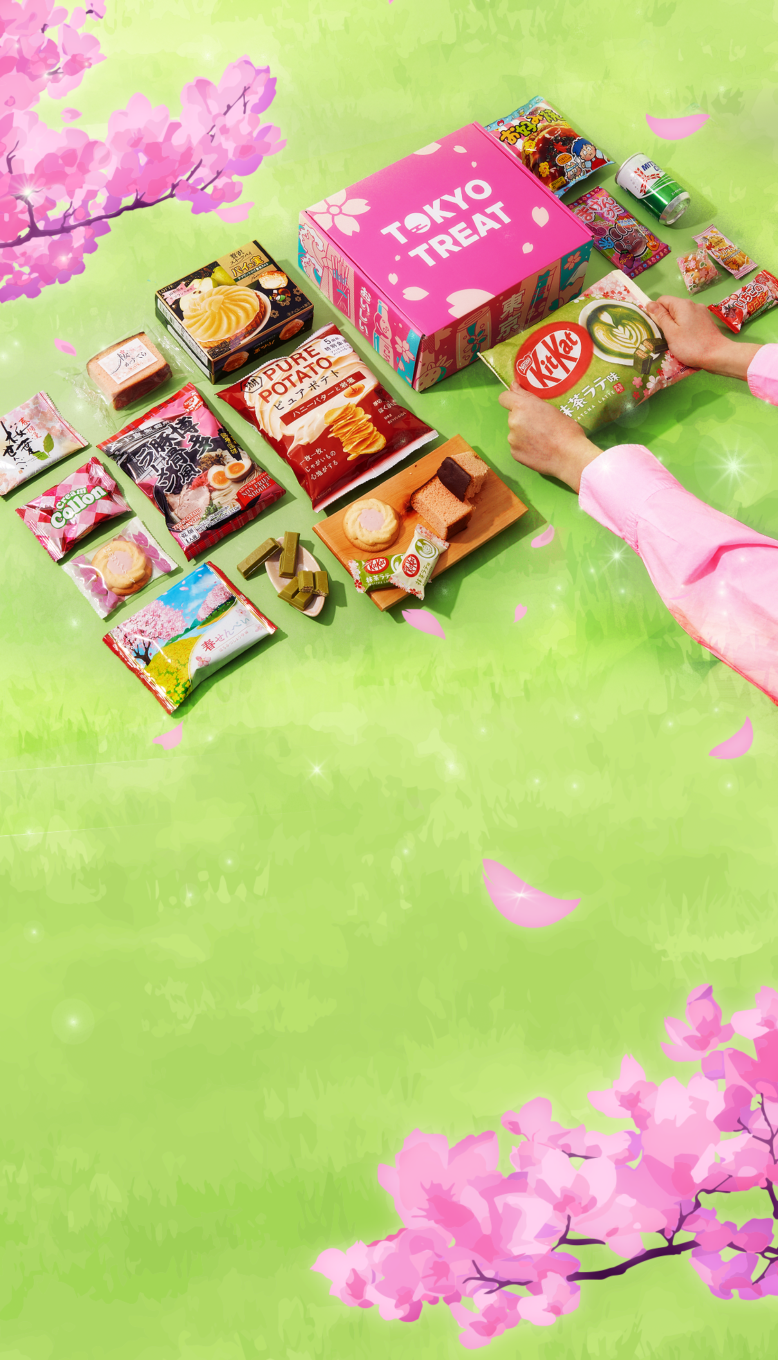 Sakura Snacktastic