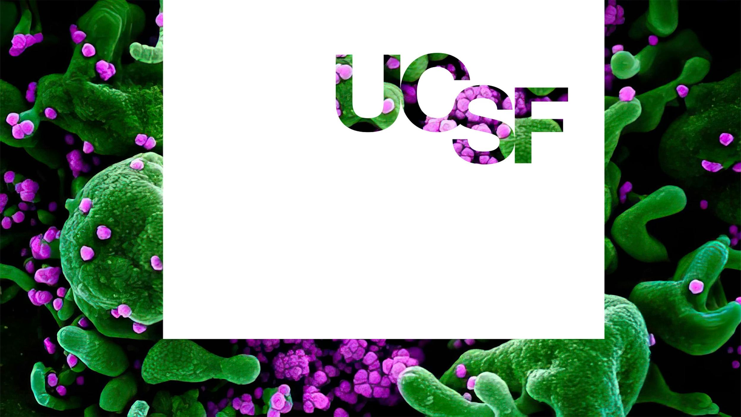 Brand System for UCSF | Tolleson