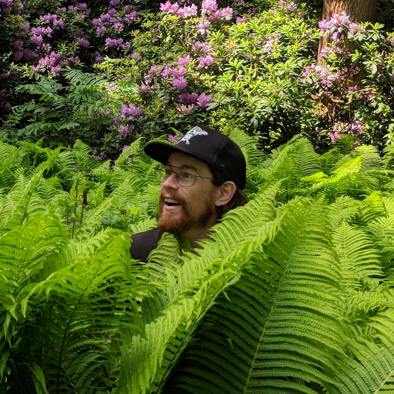 Tom Metz Media | Freelance Web Development