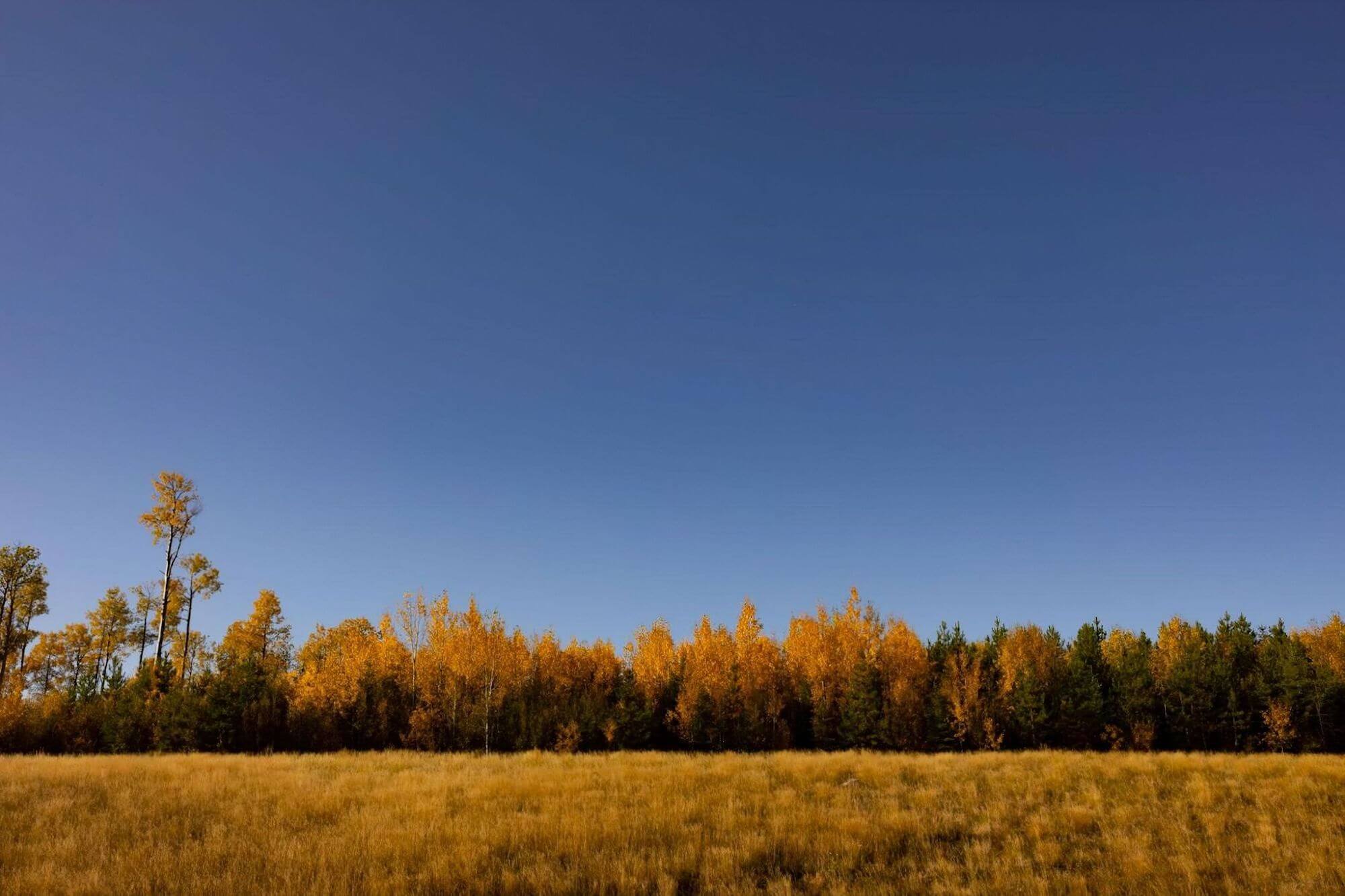 Fee Lands | Topaz Energy - Canadian Royalty and Infrastructure Energy ...