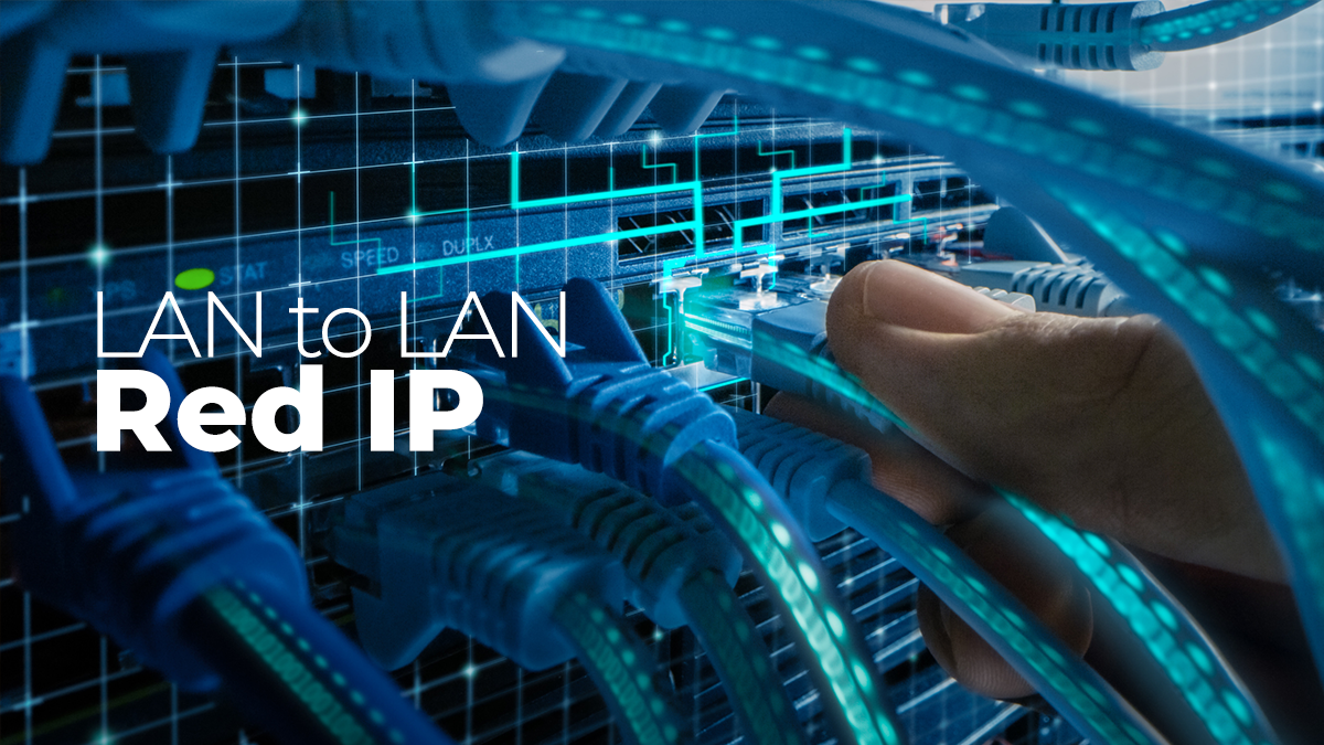 LAN to LAN / Red IP | Totalplay