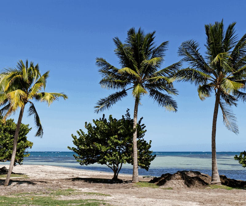 La plage de la Pointe Faula en Martinique - Tourcrib