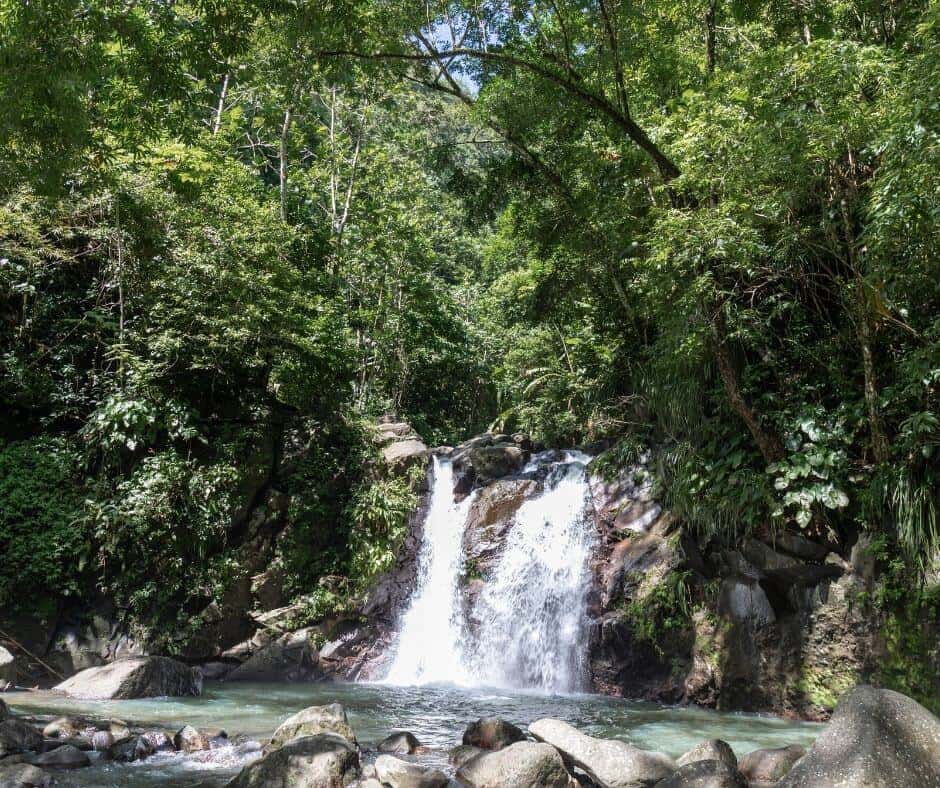Les plus belles cascades de la Martinique