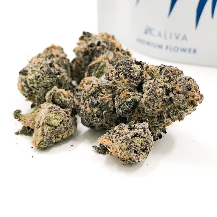 Cannabis strain spotlight: GDP CANNABIS STRAIN SPOTLIGHT: GDP