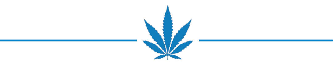 Shop Flower | SPARC Dispensary & Weed Delivery