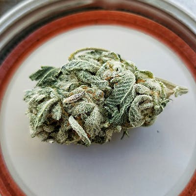 Super Boof Strain Review: Effects, Flavors & More | SPARC