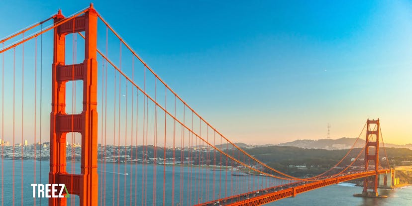 California Cannabis Laws for Businesses | Treez