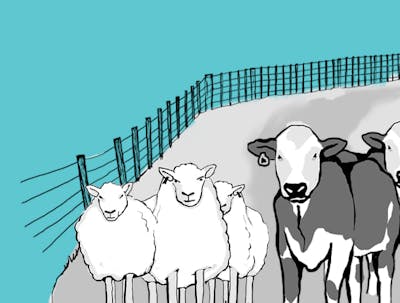 Trev | your trusty farm reporting software | Trev