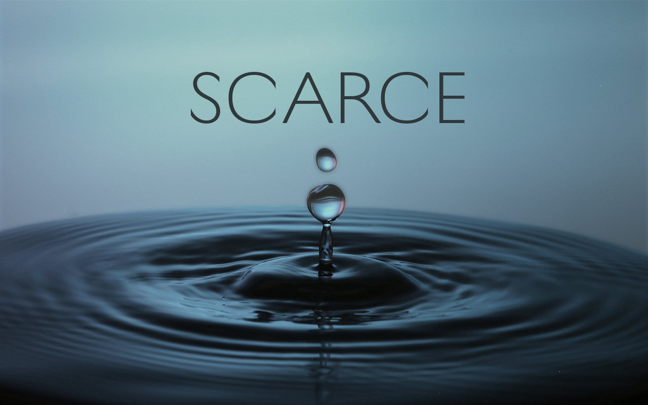 Scarce - Tribeca Film Institute