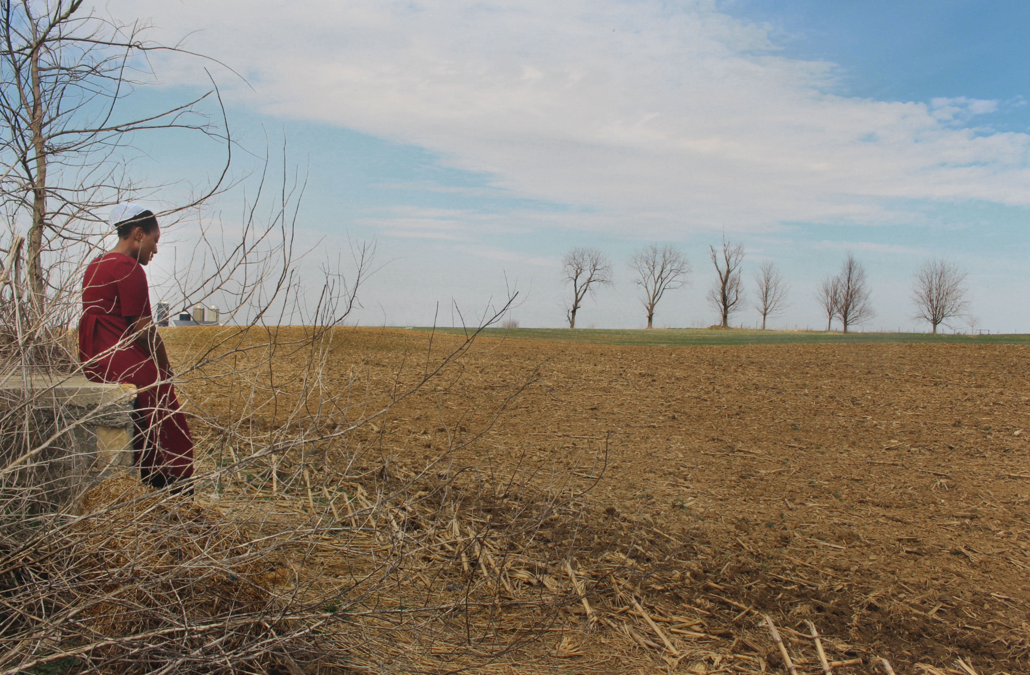 Zenith - Tribeca Film Institute