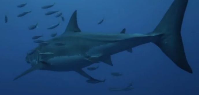 The Devil's Teeth - Tribeca Film Institute