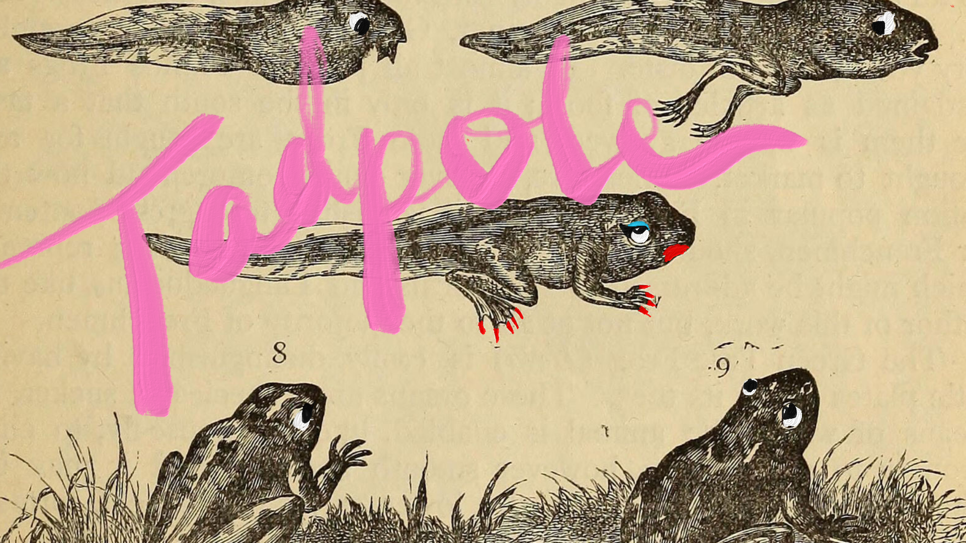 Tadpole - Tribeca Film Institute
