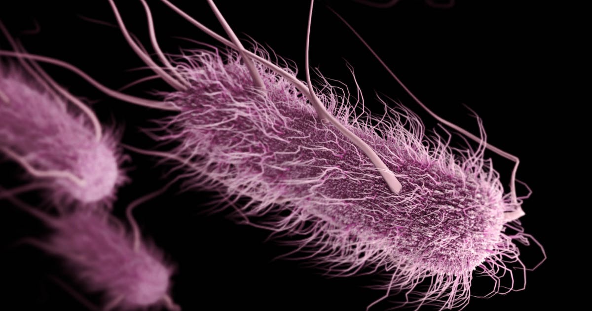 We the Bacteria Notes Toward Biotic Architecture | Triennale Milano