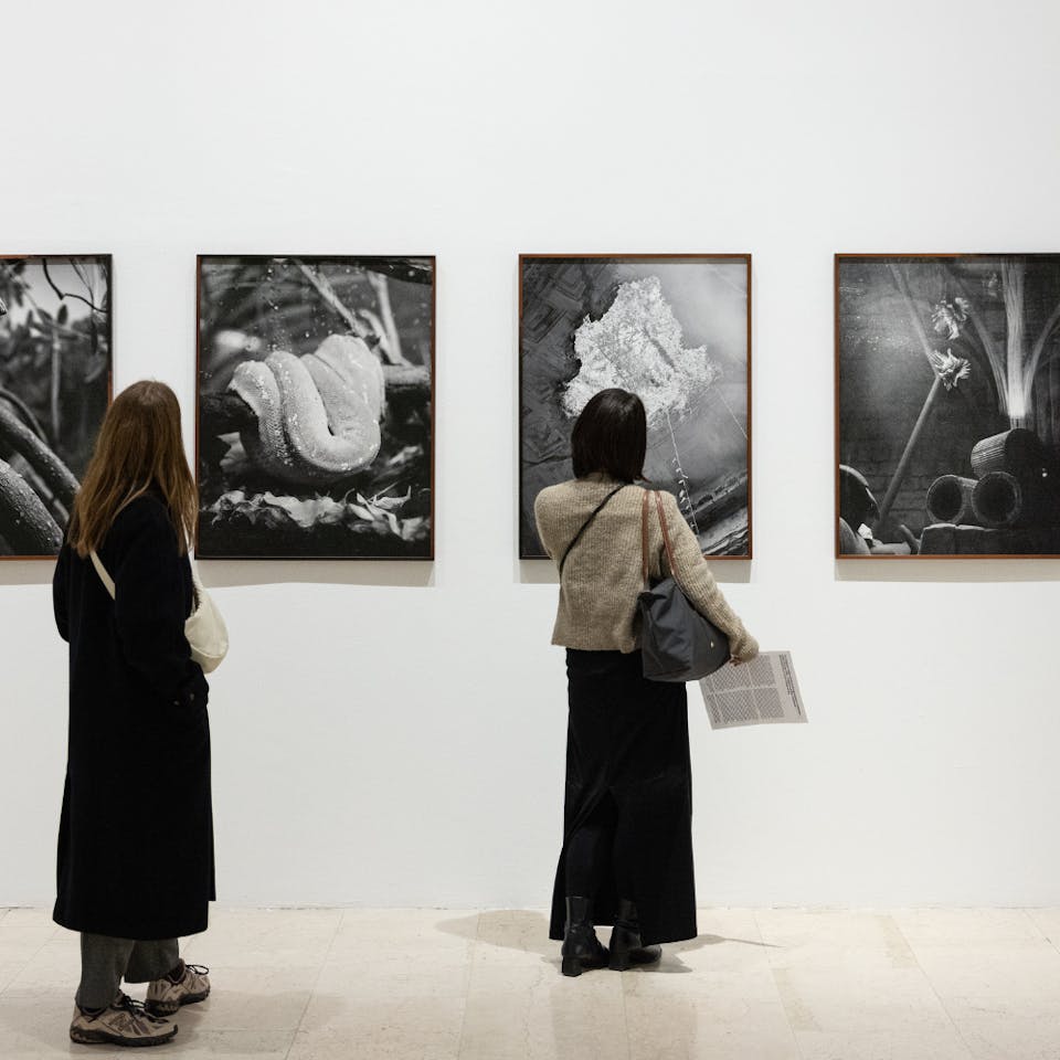 Plan your visit - Triennale Milano