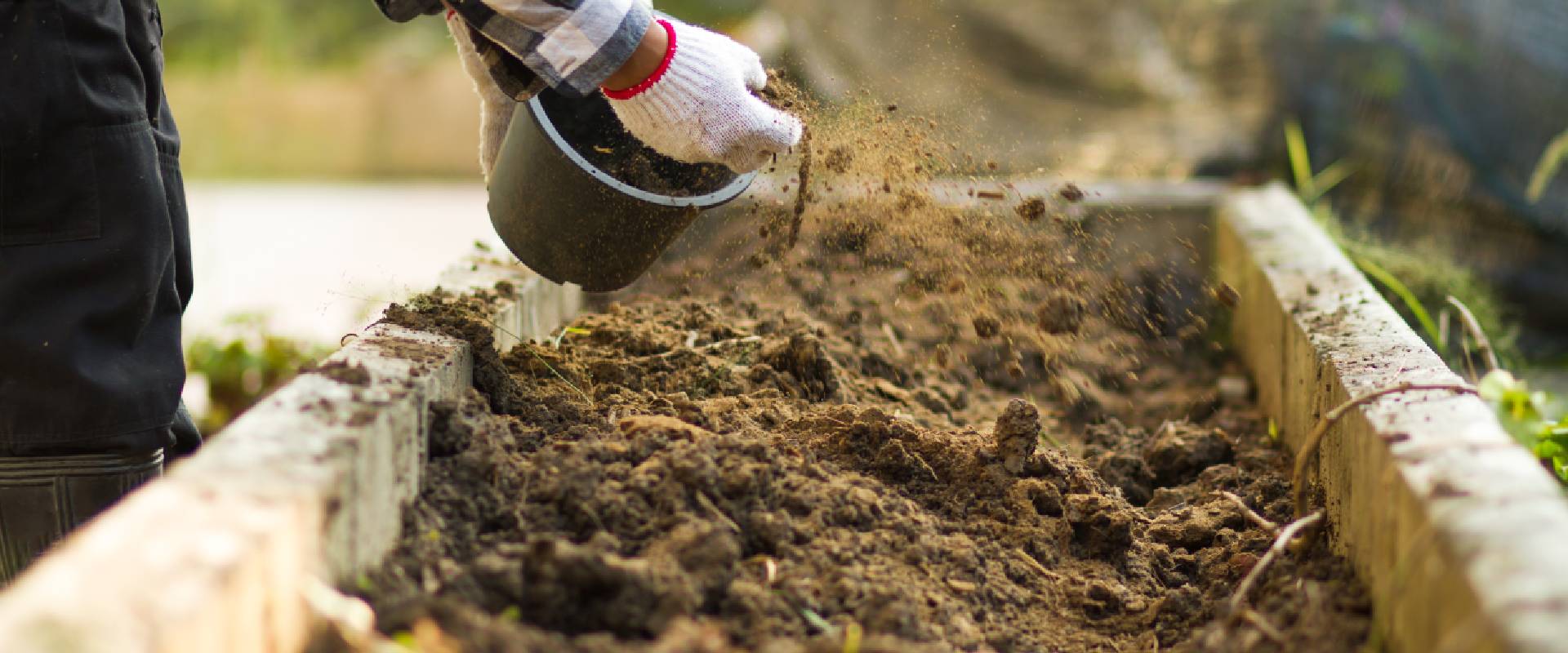 Is Compost Poisonous to Dogs? | TrustedHousesitters.com