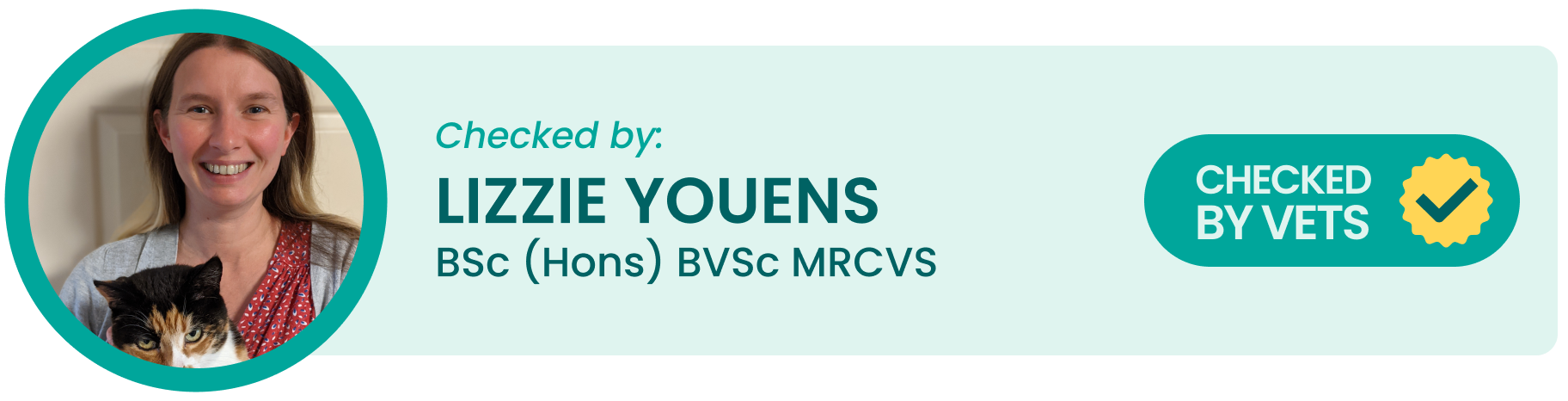 Cat-horned paws: a guide to cat hyperkeratosis | TrustedHousesitters.com