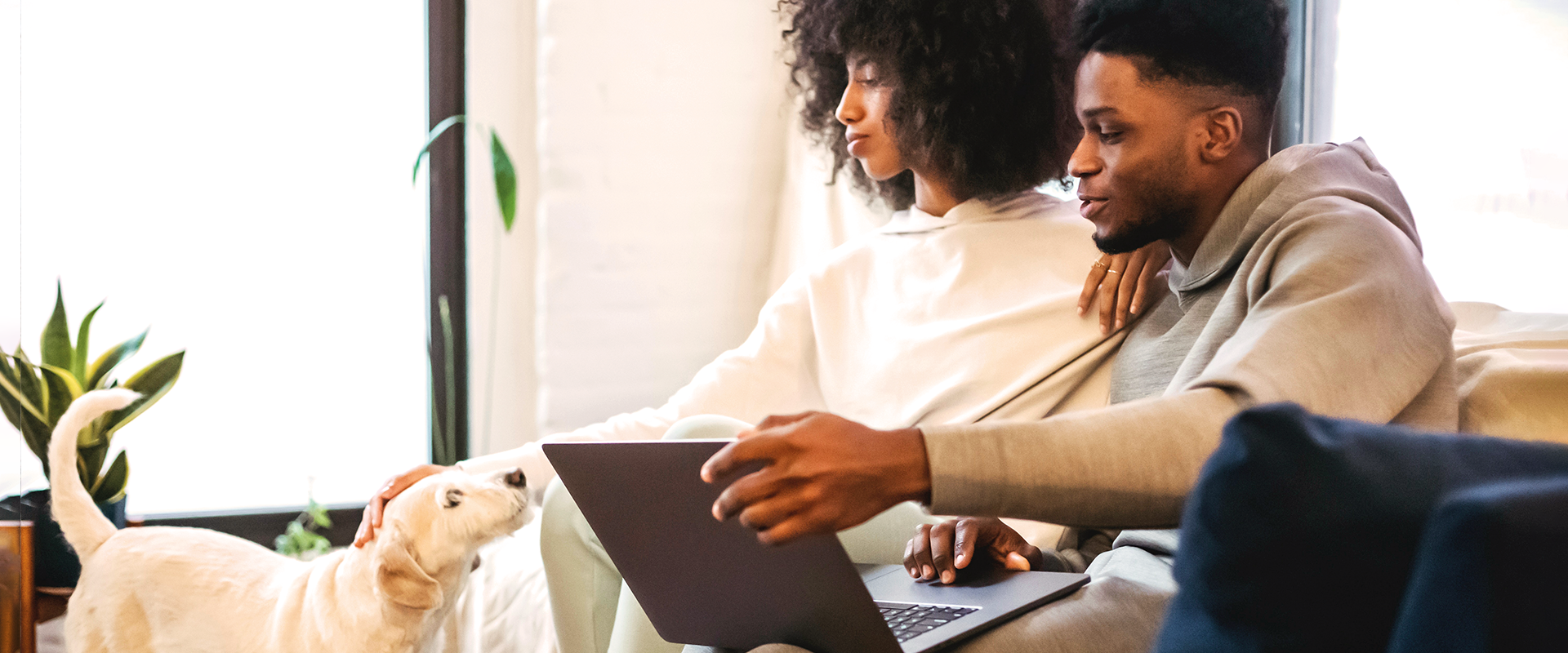 House Sitting Etiquette - a Guide for Sitters | TrustedHousesitters.com