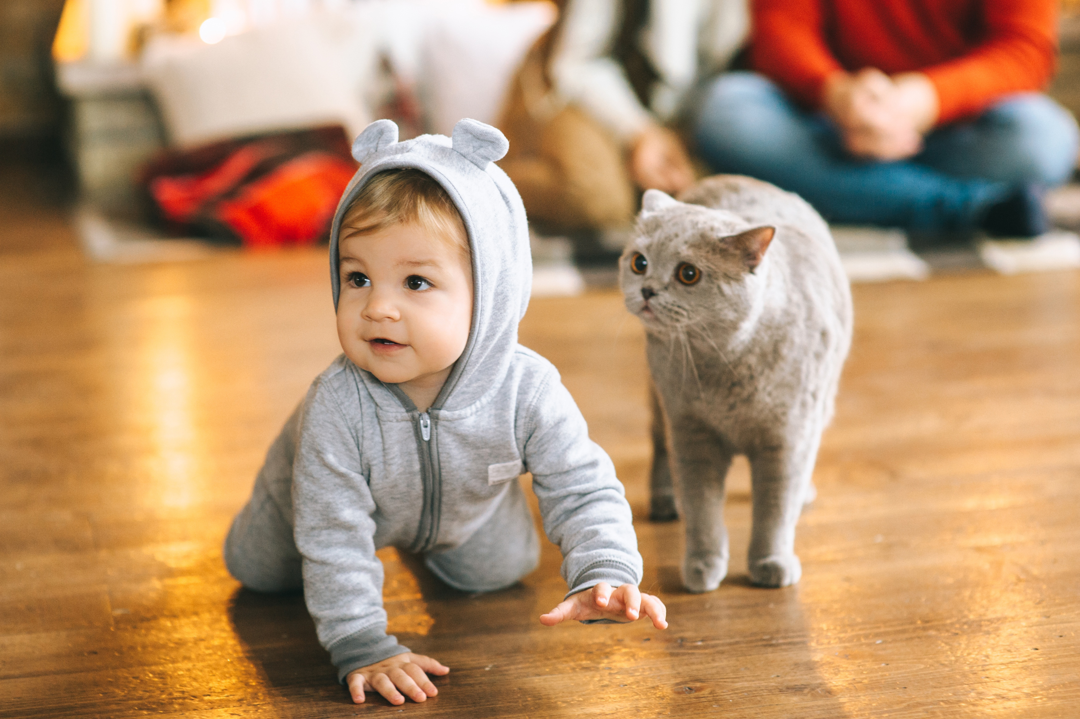 Cats with Babies: How to Live Safely | TrustedHousesitters.com