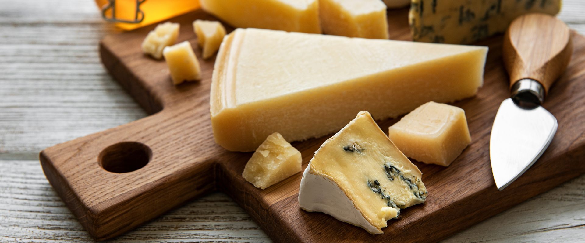 Can Dogs Eat Cheese? | TrustedHousesitters.com