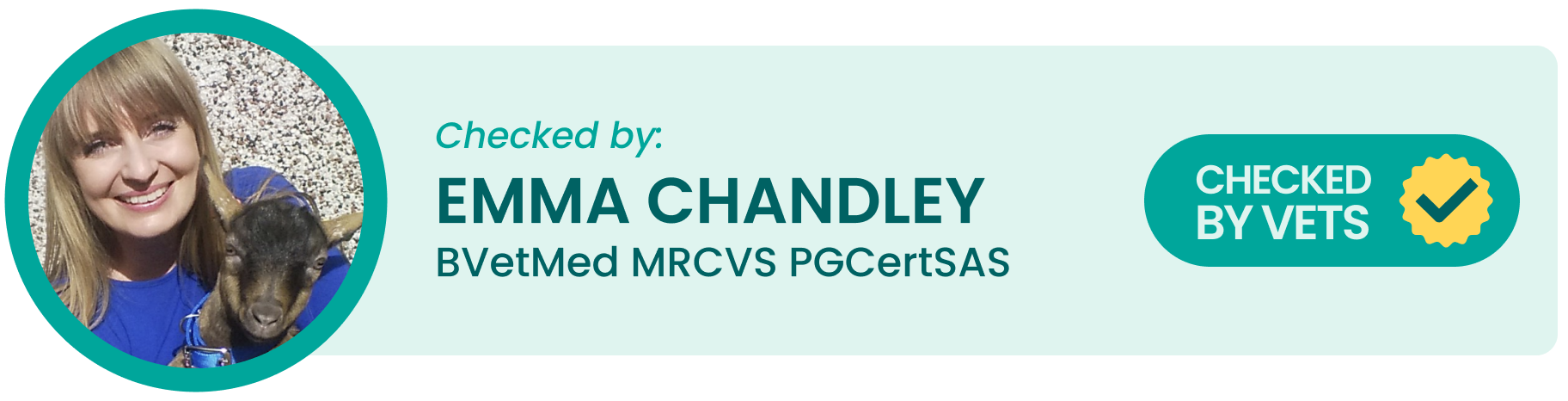Can Cats Eat Nuts? | TrustedHousesitters.com