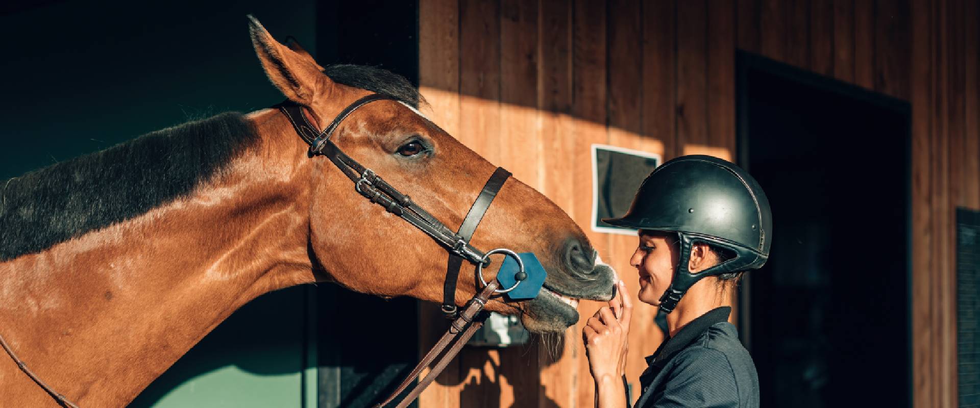 Founder In Horses | TrustedHousesitters.com