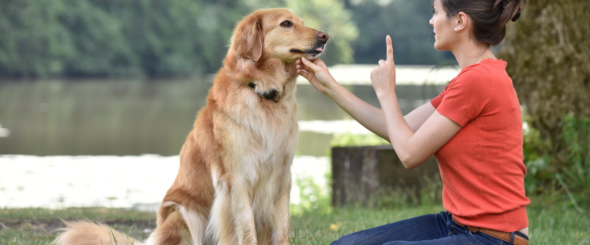 Training Dogs With Sign Language