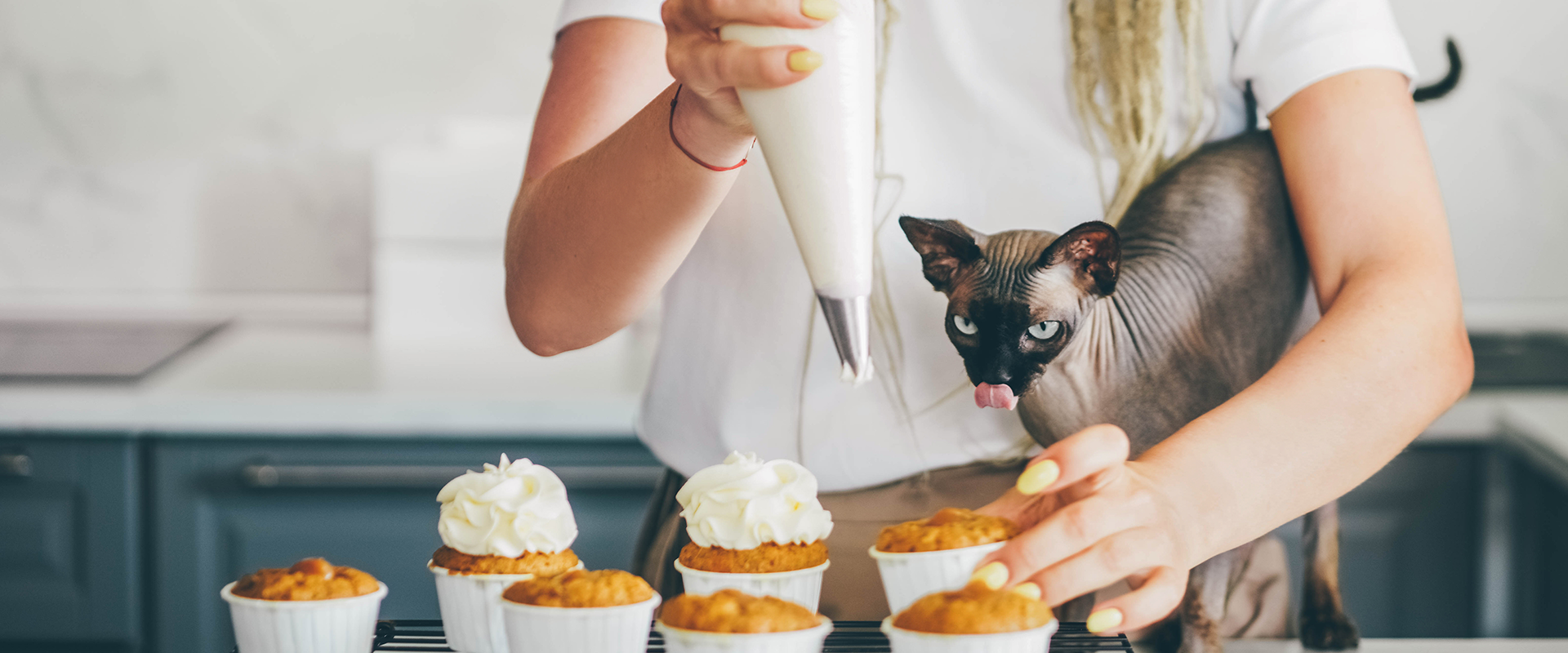 Can Cats Eat Cream? | TrustedHousesitters.com