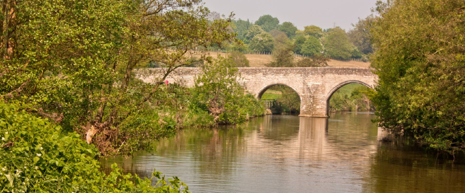 8 Best Dog Walks in Kent | TrustedHousesitters.com