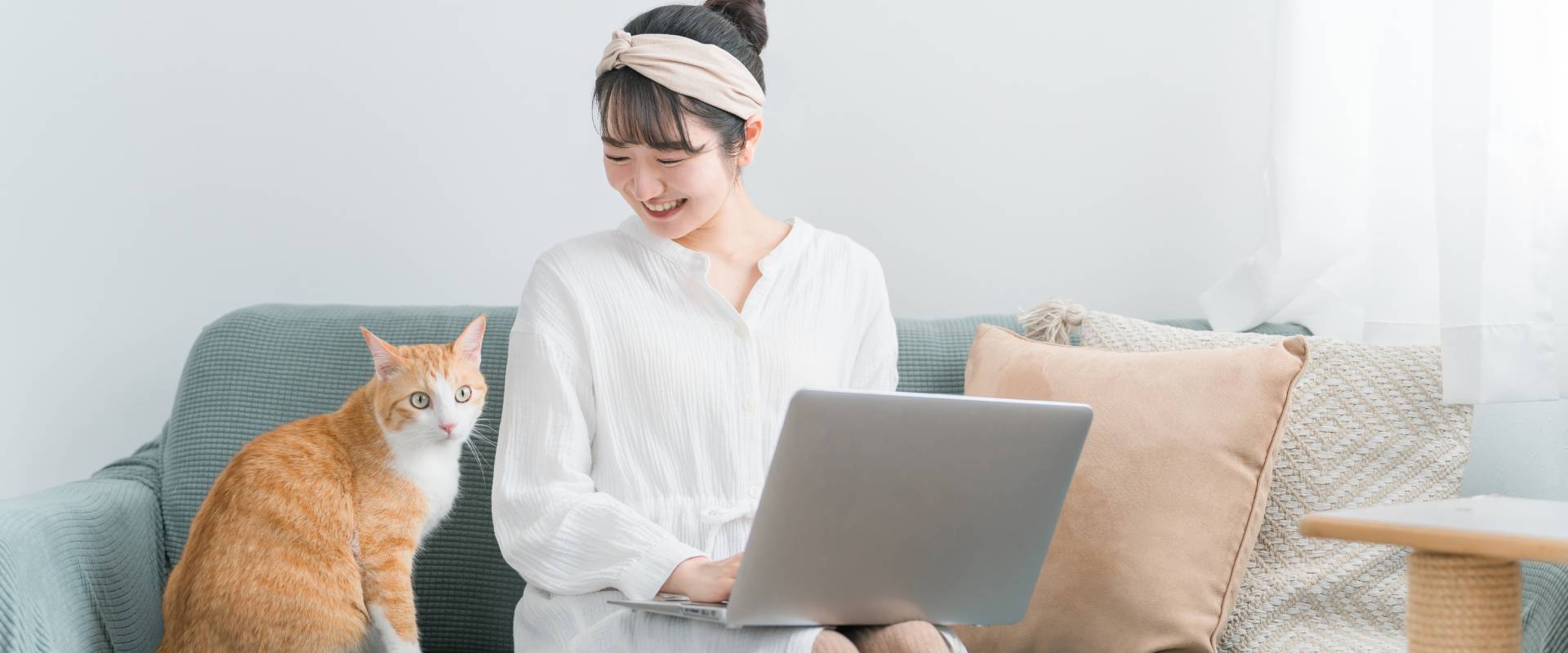 Cat sitting for indoor cats - a house cat guide | TrustedHousesitters.com