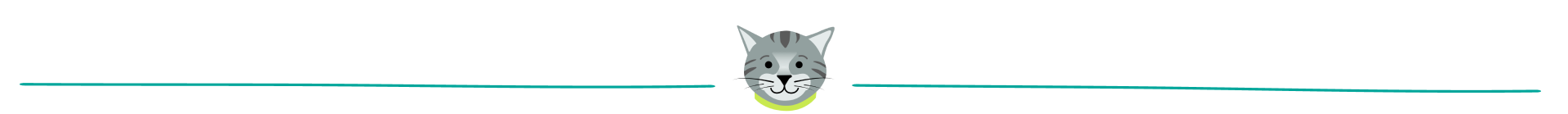 7 Tailless Cat Breeds: A Guide On Rumpy Risers | TrustedHousesitters.com