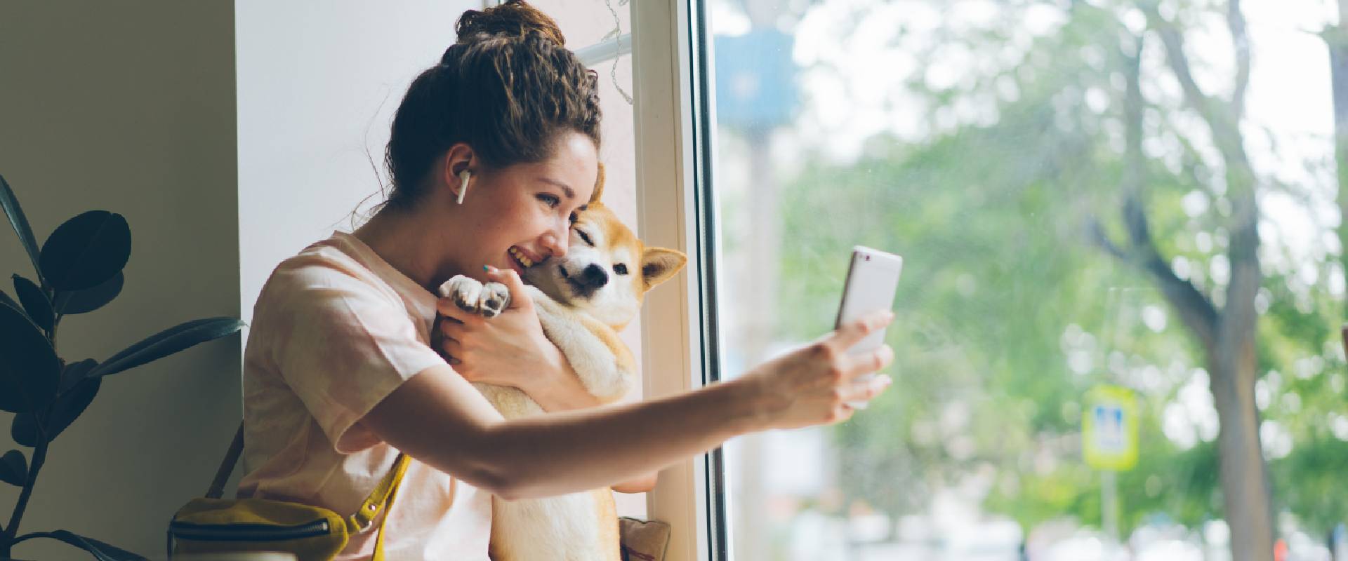 International House Sitting Tips | TrustedHousesitters.com