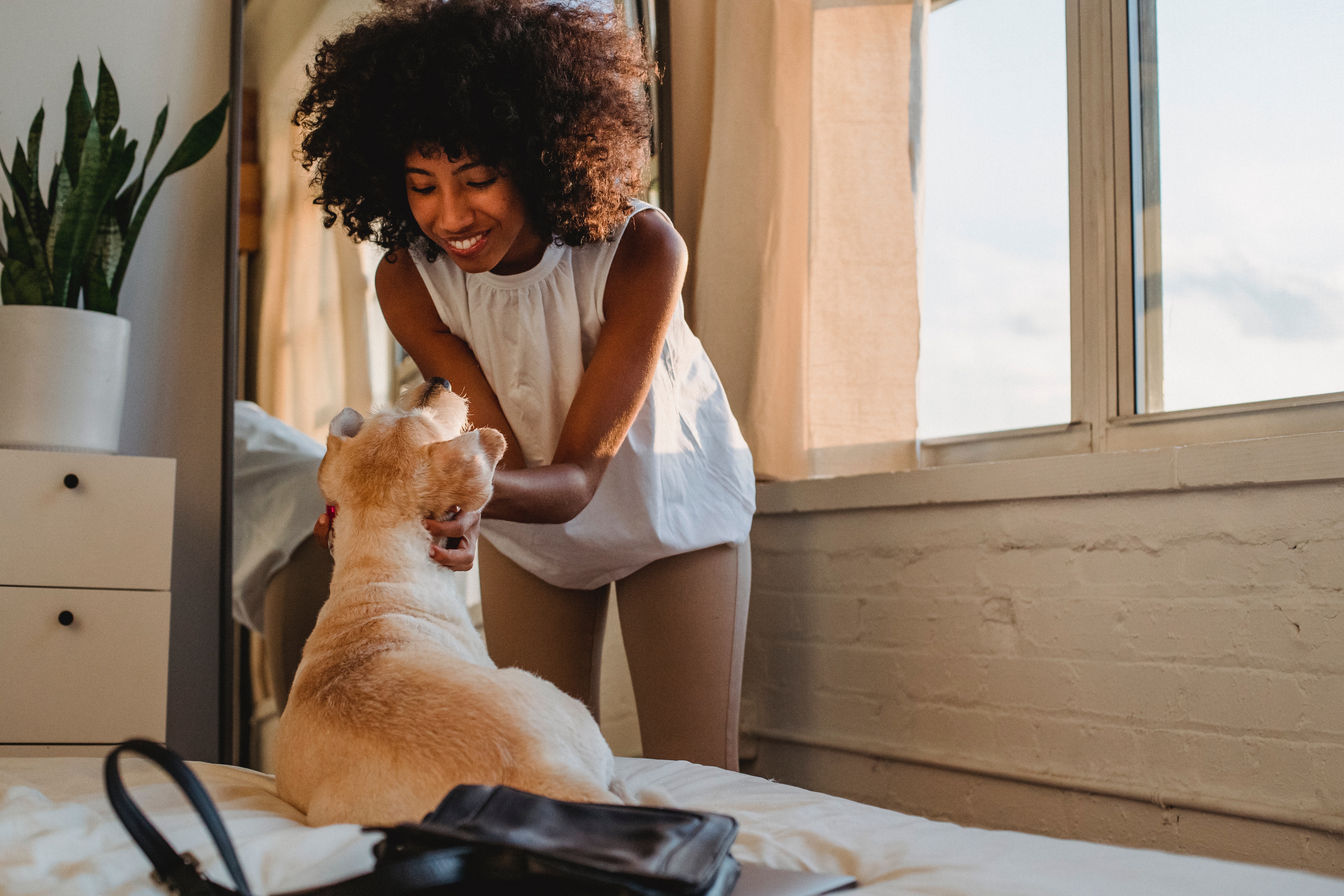 Pet sitting - 11 things every pet sitter must know ...