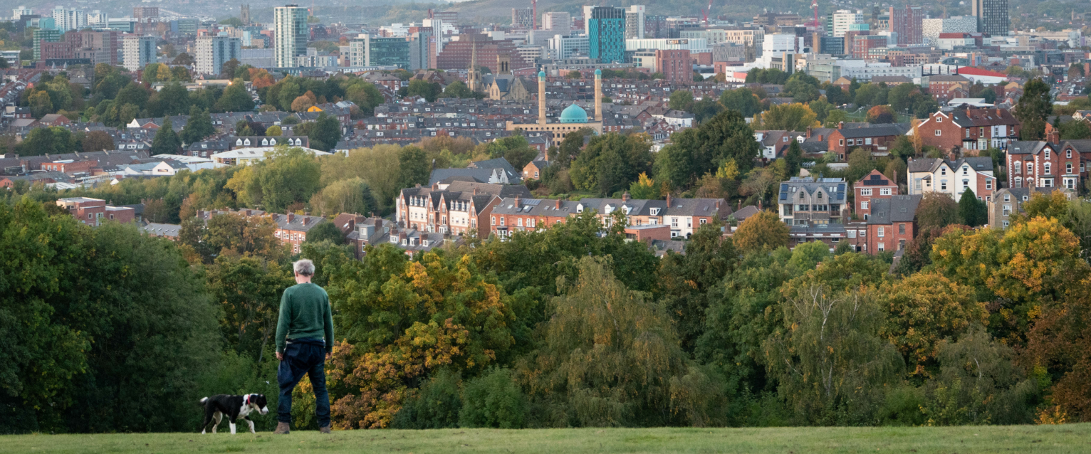 Dog-Friendly Sheffield: Things To Do in Sheffield With a Dog ...