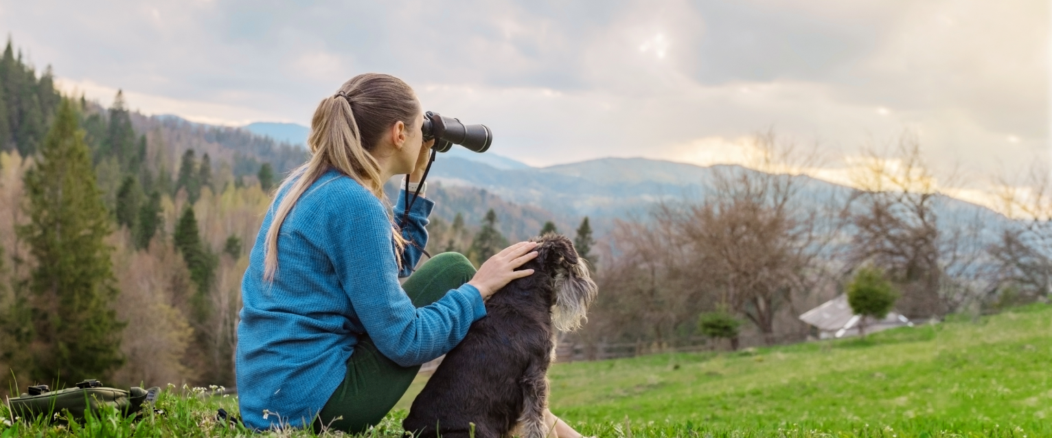 Dog-Friendly Guide to Aberdeen: Things to do in Aberdeen with a Dog ...
