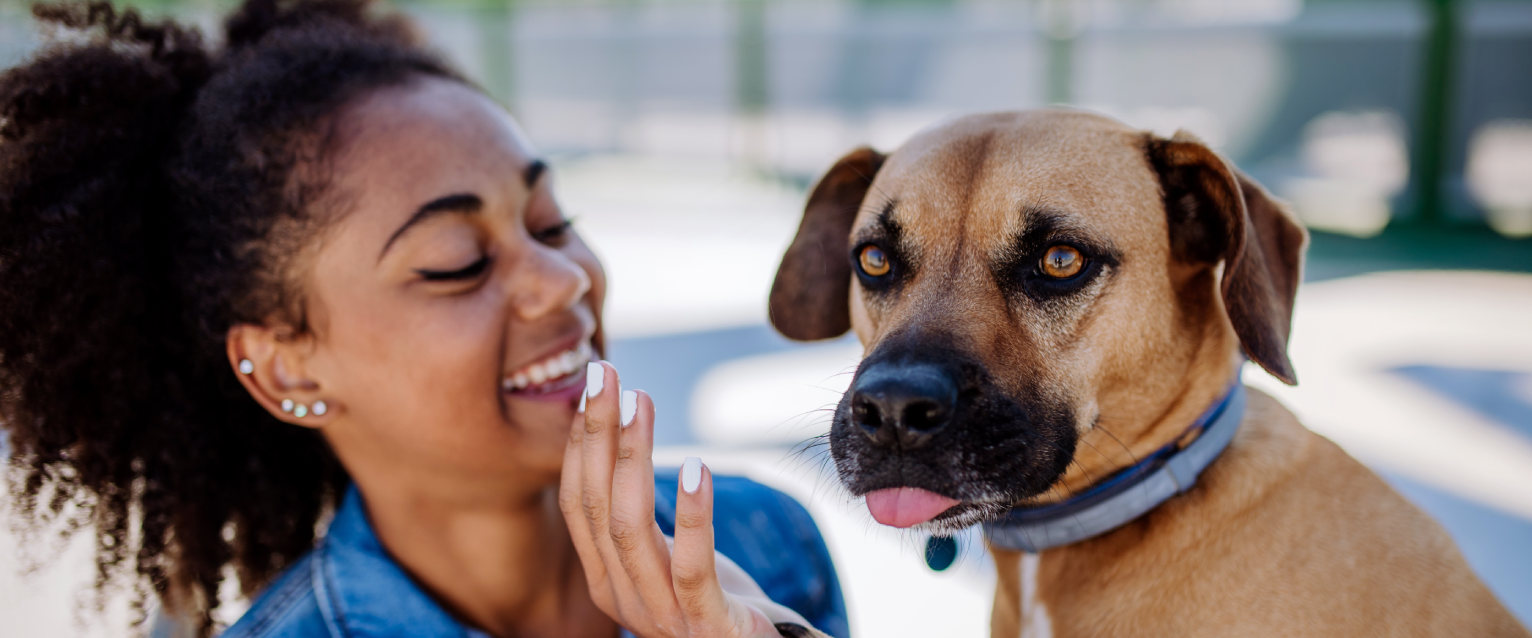 Dog-Friendly Guide to Aberdeen: Things to do in Aberdeen with a Dog | TrustedHousesitters.com