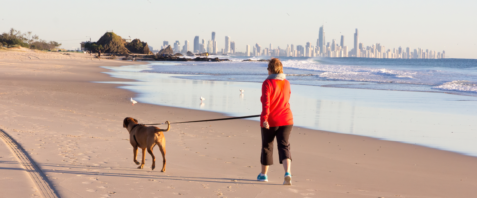 Dog-Friendly Queensland: Things to do in Queensland with a Dog ...