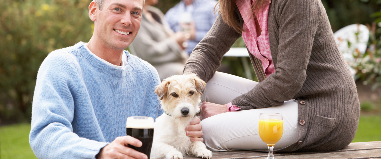 Dog-Friendly Queensland: Things to do in Queensland with a Dog ...