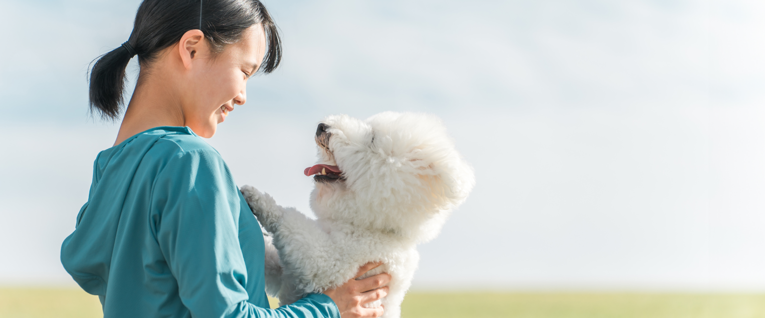 Dog-Friendly Queensland: Things to do in Queensland with a Dog ...