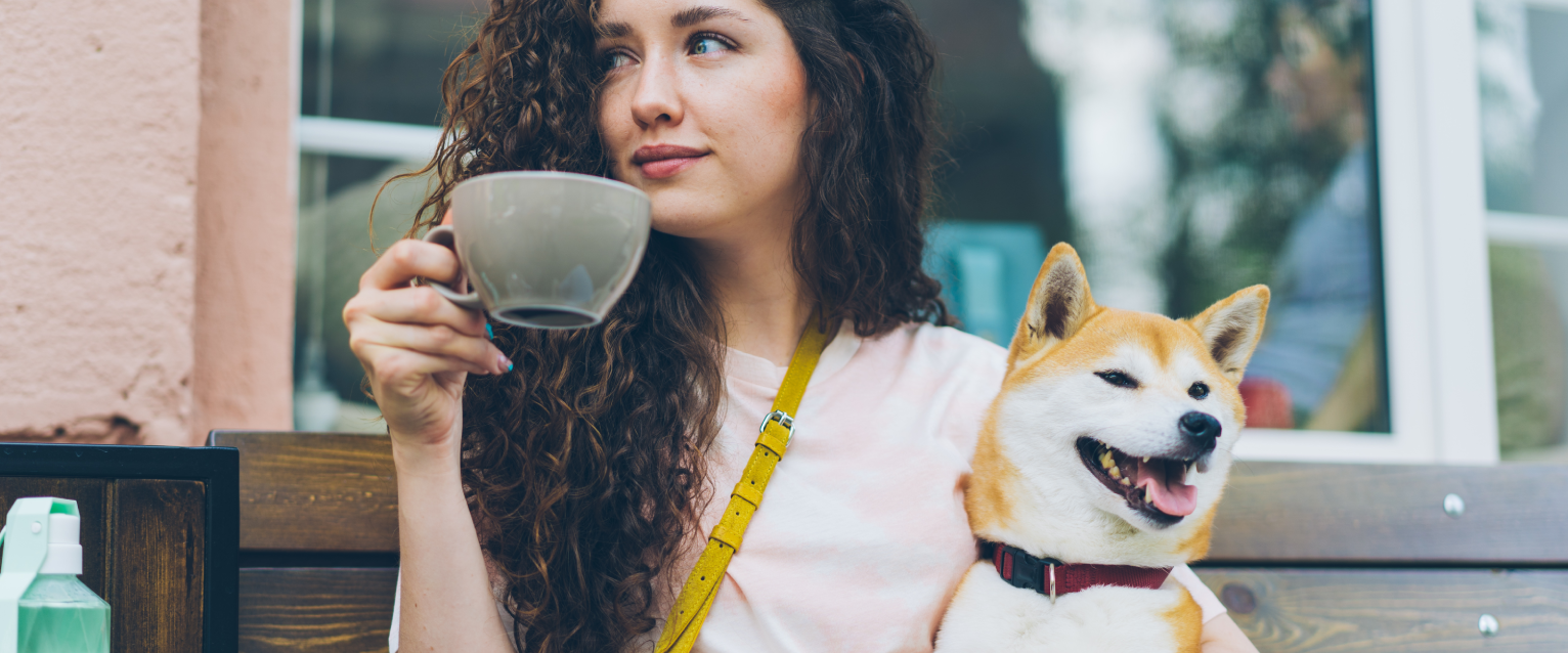 Dog-Friendly Chester: Things to do in Chester with a Dog ...