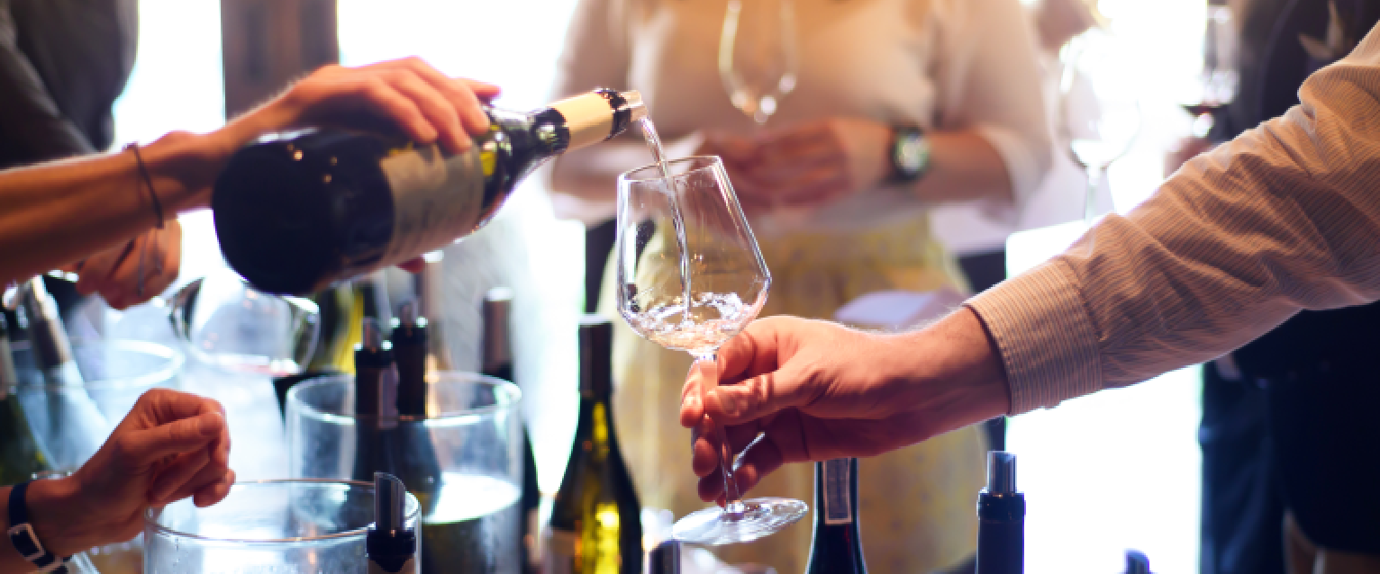 Dog-Friendly Chester: Things to do in Chester with a Dog ...