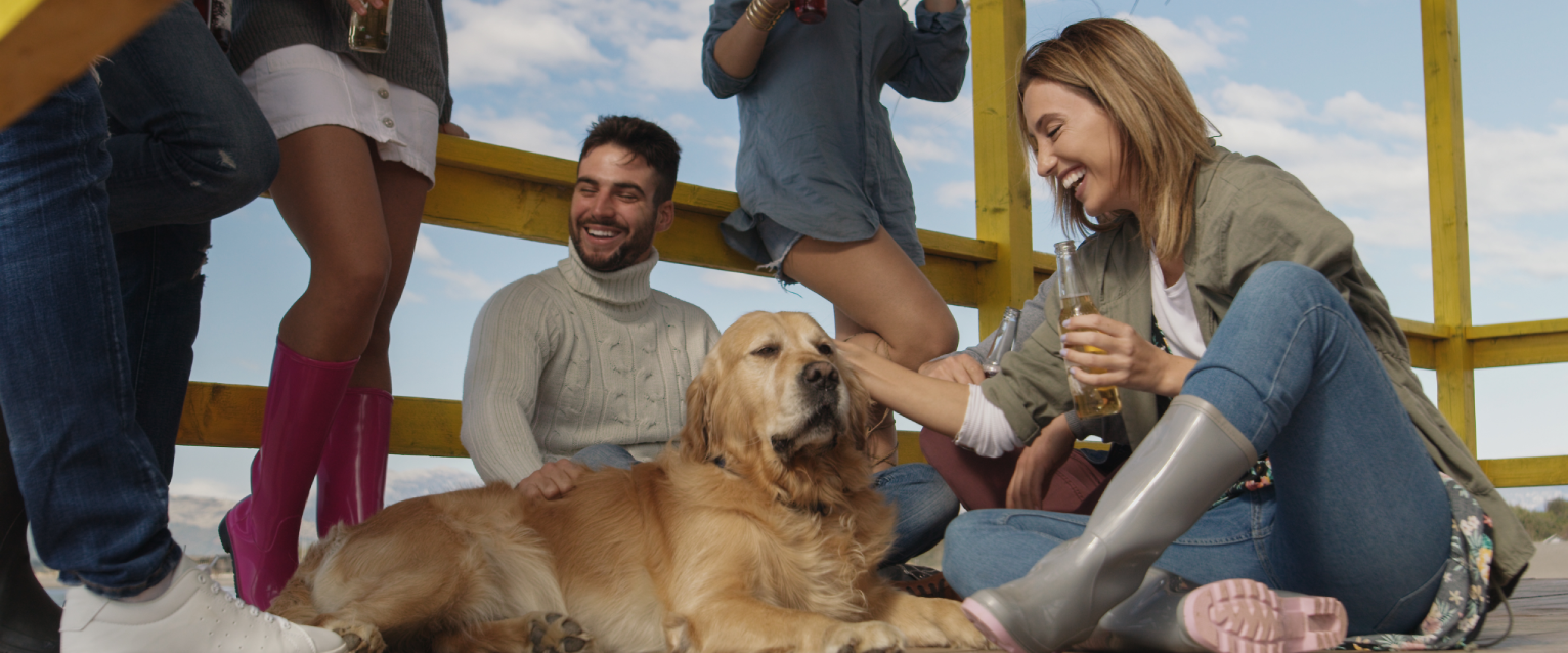 Dog-Friendly Albuquerque: Things To Do in Albuquerque With a Dog ...