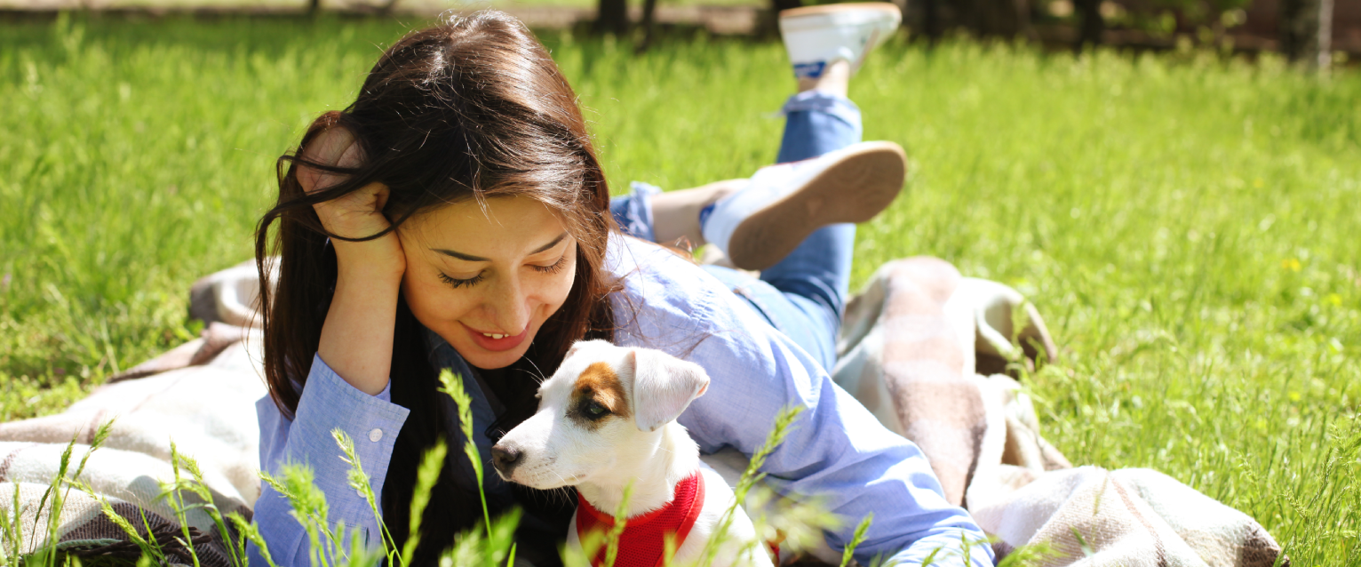 Dog-Friendly Poole: Things To Do in Poole with a Dog ...
