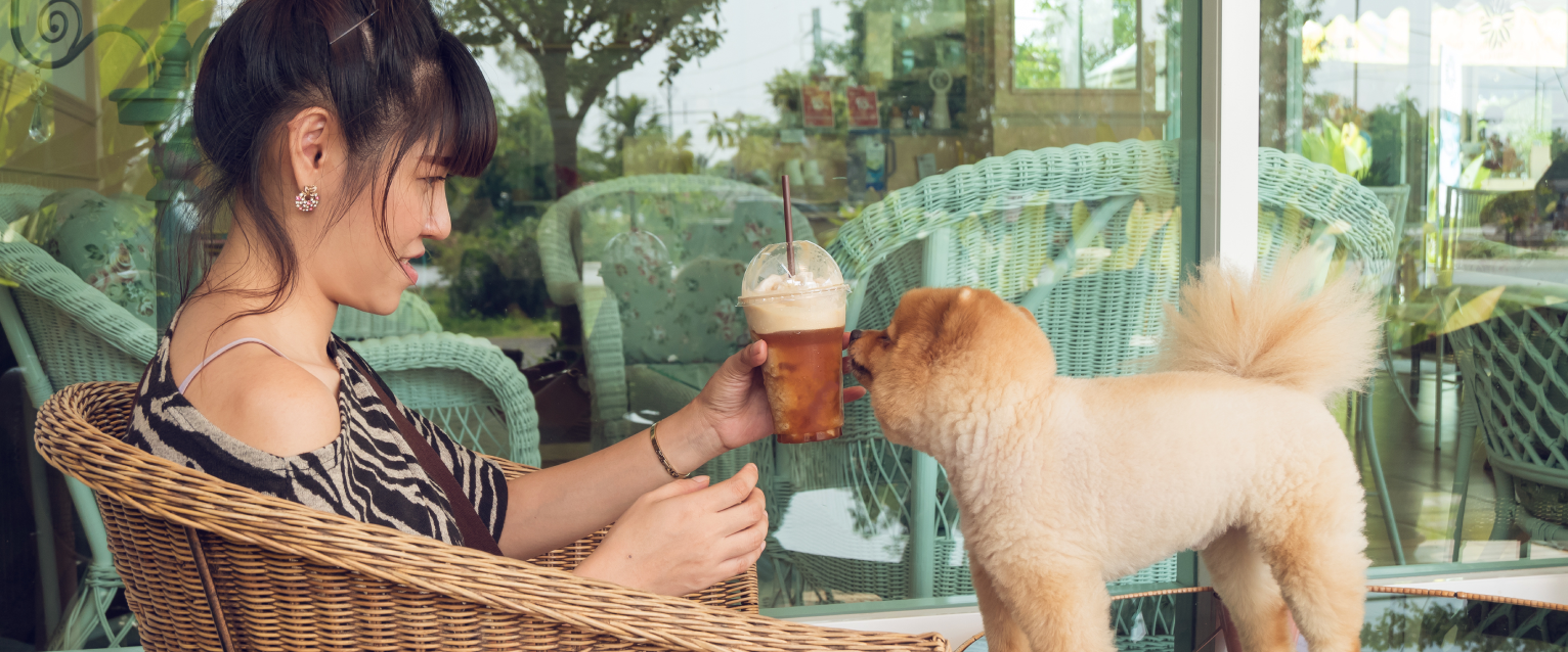 Dog-friendly Nottingham: Things to Do in Nottingham With a Dog ...