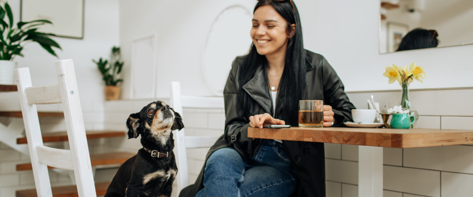 Dog-friendly Shrewsbury: Things to Do in Shrewsbury With a Dog ...