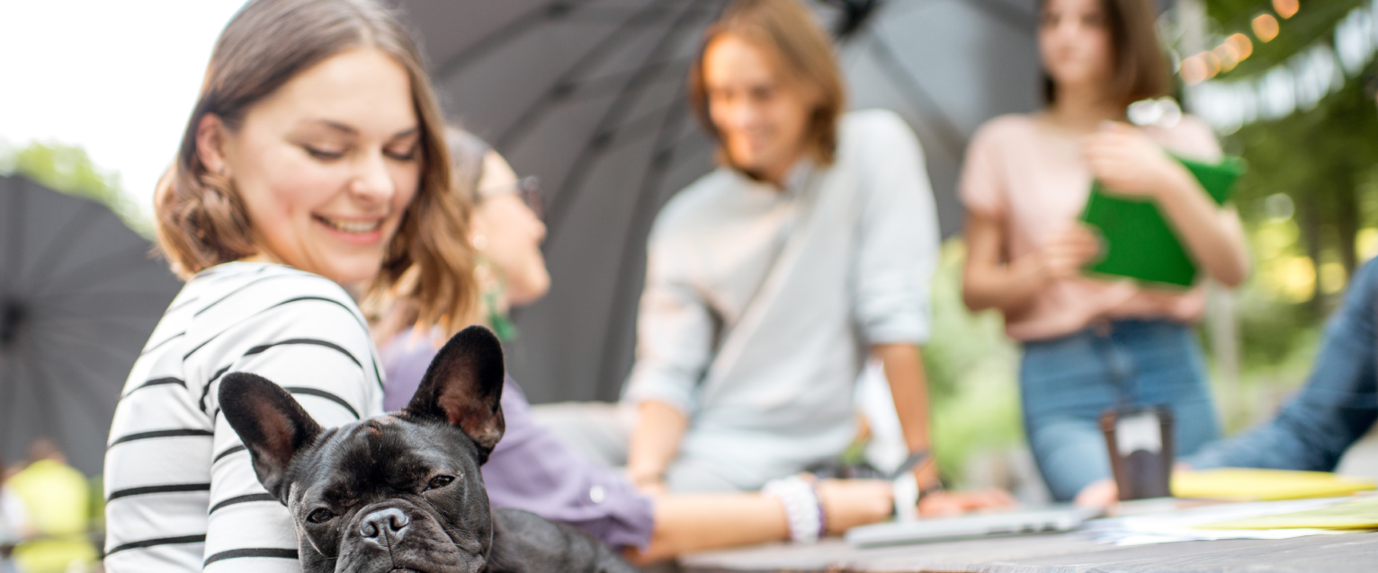 Dog-friendly Shrewsbury: Things to Do in Shrewsbury With a Dog ...