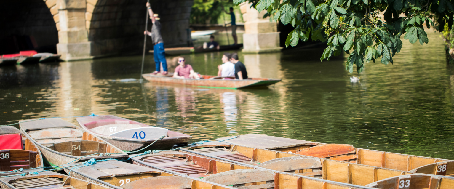 Dog-friendly Oxford: Things to Do in Oxford With a Dog ...