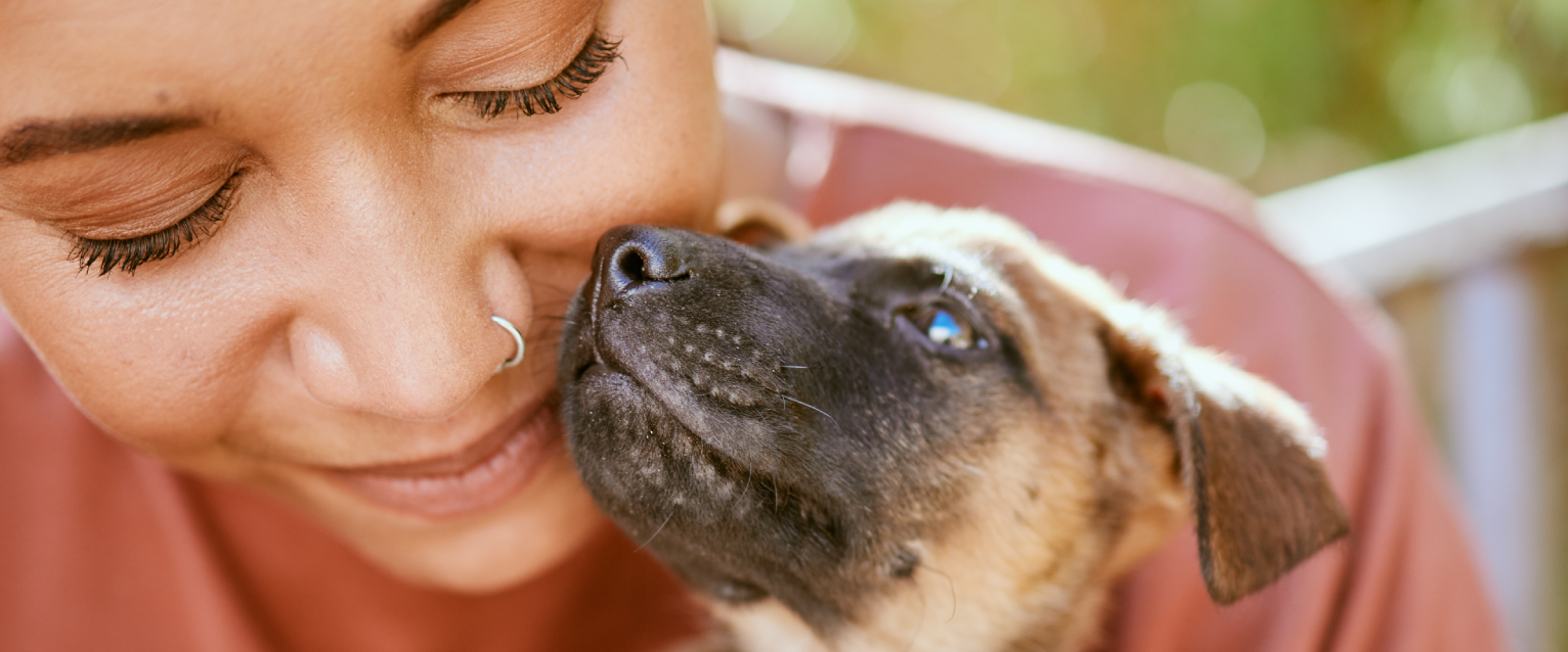 Dog-friendly Oxford: Things to Do in Oxford With a Dog ...