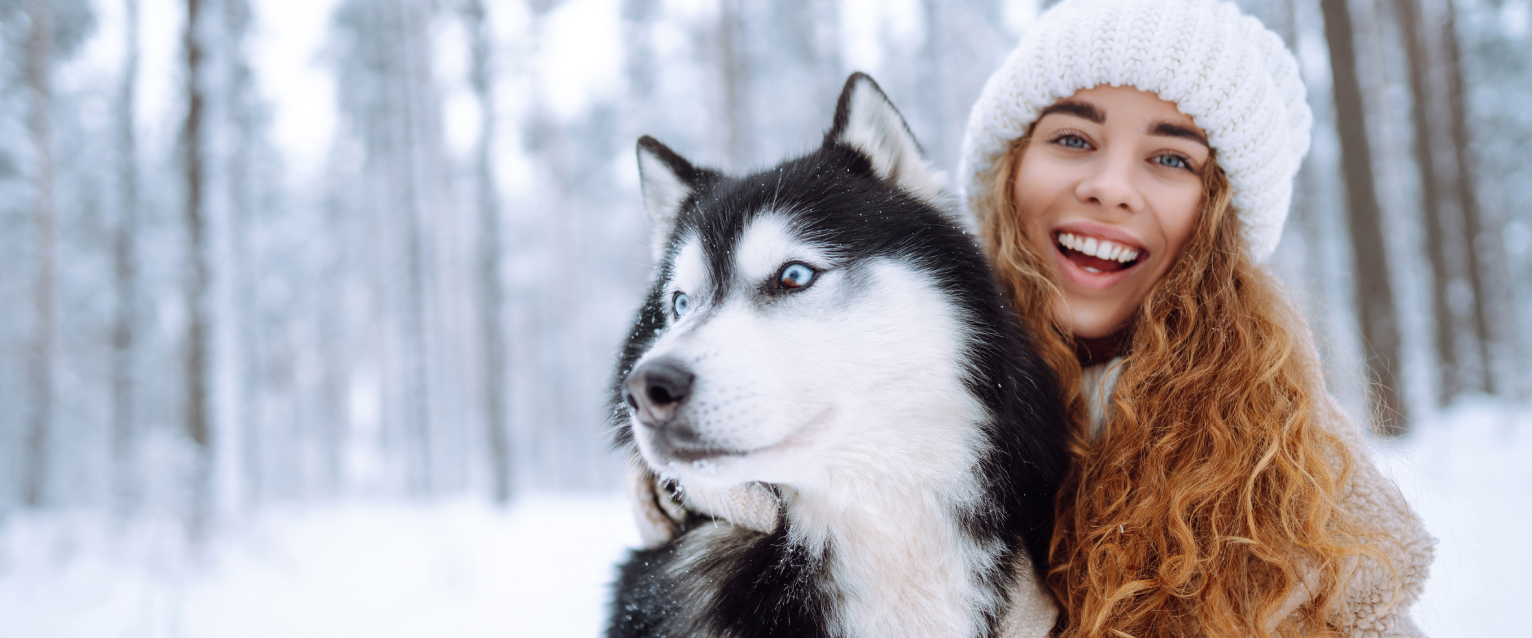 Dog-Friendly Exeter: Things To Do In Exeter With A Dog ...